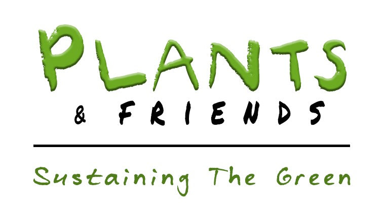 Plants and Friends – Plants & Friends